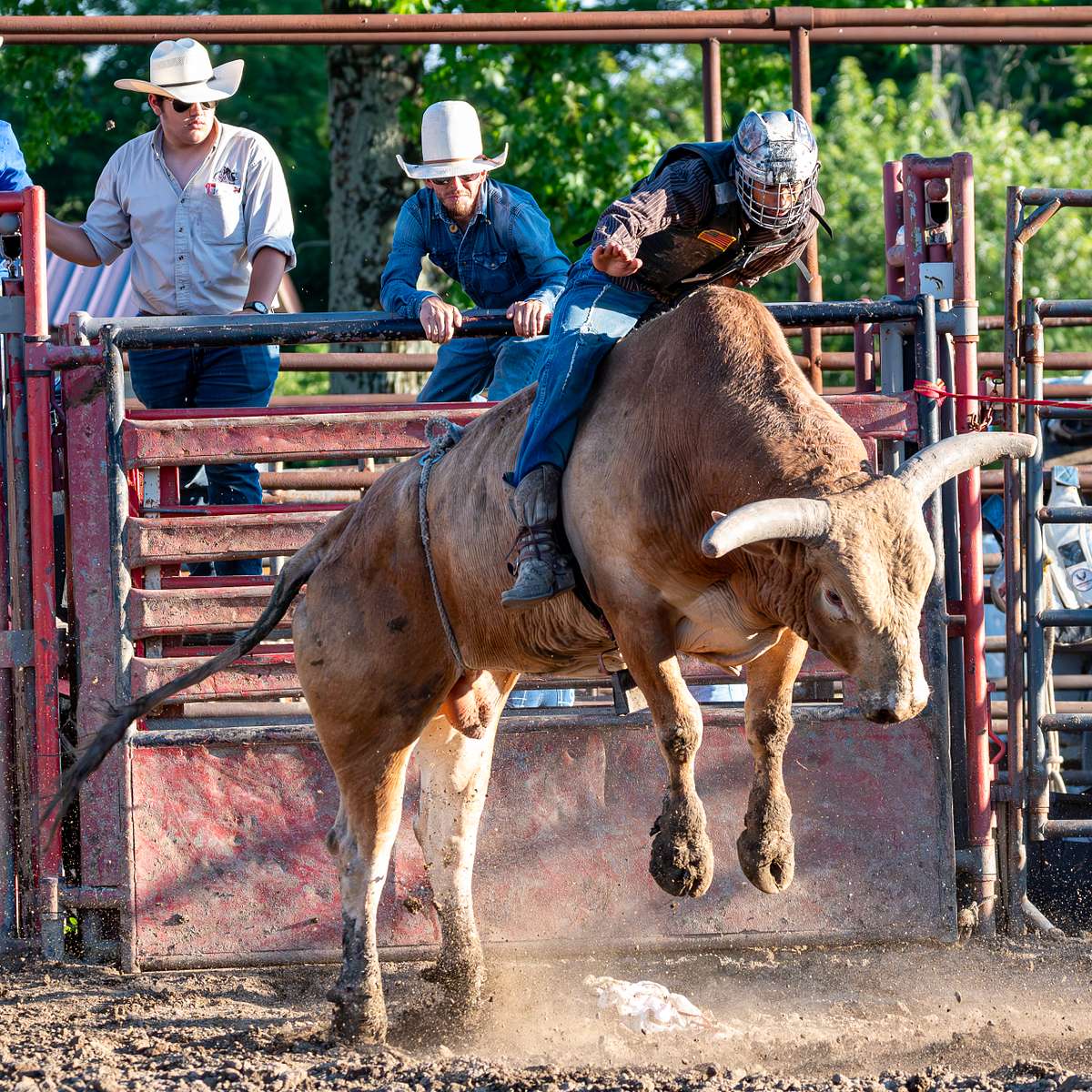 Explore Stunning Sports Photography Videos at Bill Phipps Photography ...