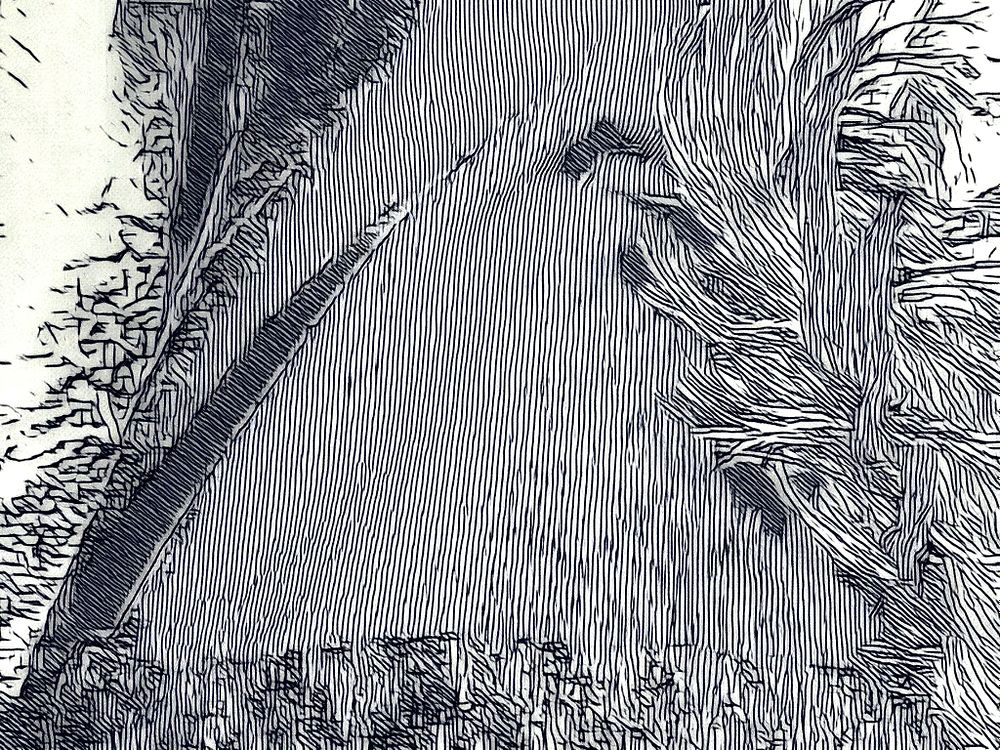 Skillfully Curled Photography Photos by Patsy Rahn