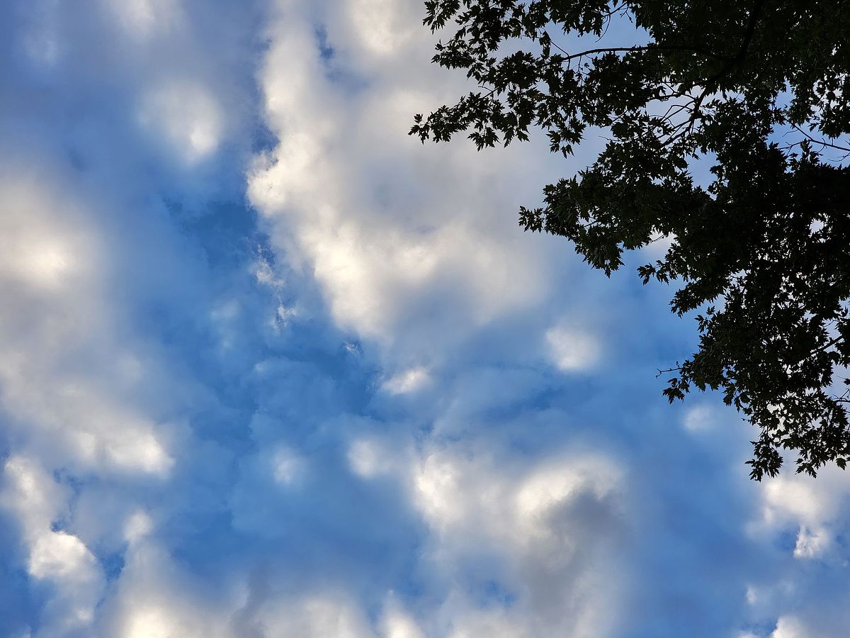 Skillfully Curled Photography Photos by Patsy Rahn