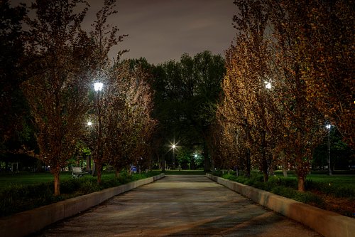 Toronto Photographer Steve Carty | Editorial Portraits | Toronto ...