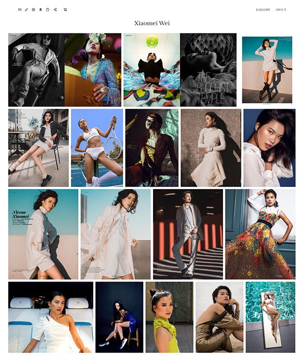 Best Model Portfolio Examples